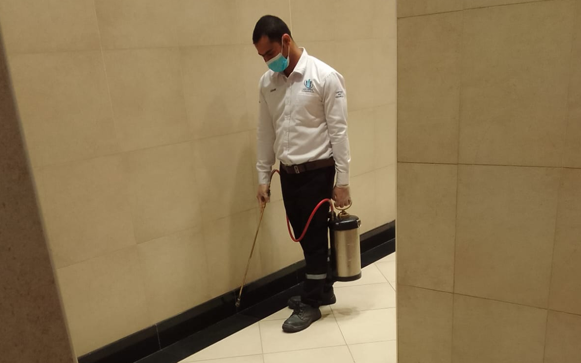 Office Pest Control Bahrain | Rodent Control for Offices